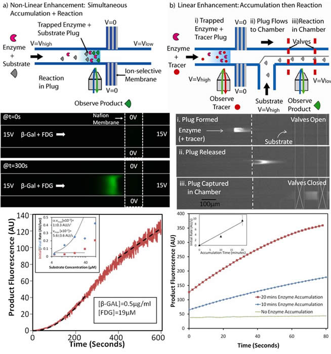 Nanofluidic Biomolecular Preconcentration and Concentration-Enhanced ...