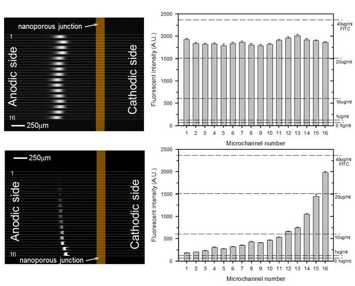 Nanofluidic Biomolecular Preconcentration and Concentration-Enhanced ...